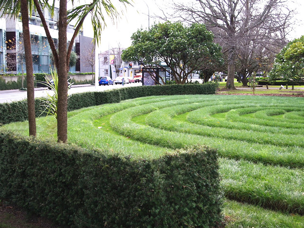 Totara Matapouri Blue – Blue-Green Native Hedge NZ | Twining Valley ...